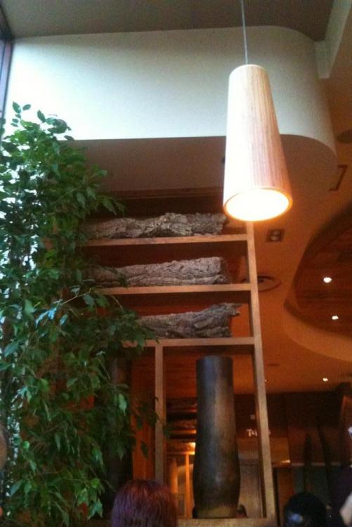 Sheffield - Valley Centertainment | Rate YOUR Nando's - The Nando's ...